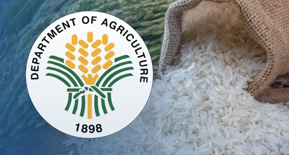 Philippine Rice Imports Expected to Decline in 2026: Strong Harvests ...